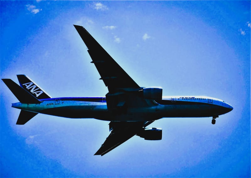 ANA機のデザイン、なぜ半世紀近く不変？ | 趣味人倶楽部（しゅみーとくらぶ）