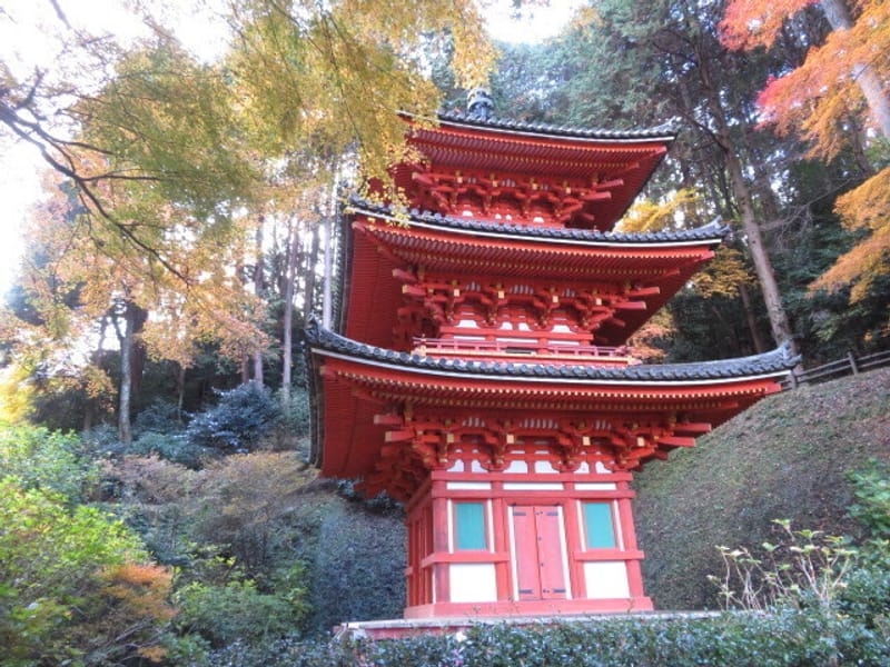 山城：岩船寺～浄瑠璃寺(R06.12. 4) のりさんの日記 | 趣味人倶楽部（しゅみーとくらぶ）
