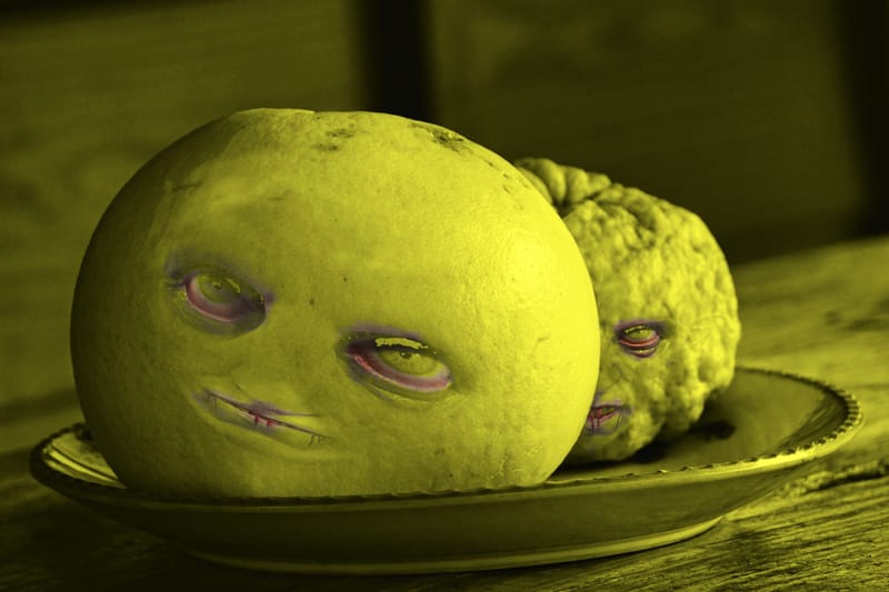 G・静物・・・第二弾 maruhaさんの日記 | 趣味人倶楽部（しゅみーとくらぶ）