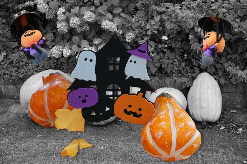 G・実物のかぼちゃ前にて・・・ maruhaさんのフォト | 趣味人倶楽部（しゅみーとくらぶ）