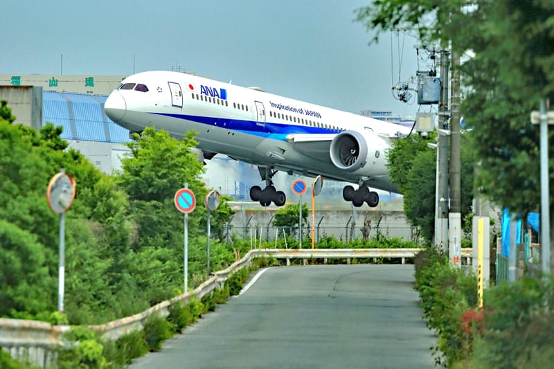 Mayday 浜ちゃんさんのフォト | 趣味人倶楽部（しゅみーとくらぶ）